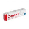 CANEX TOP CREAM 20G - PharmacyNet